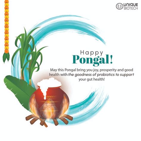 Pongal2025 Uniquebiotech Probiotics Abundanceandwellness