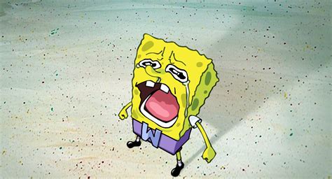 Tails Chopper Cry Chopper Crying Know Your Meme One P