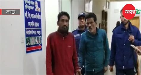 ময়মনসিংহে বাসচাপায় ৭ জন নিহতের ঘটনায় বাসচালক ও সুপারভাইজার গ্রেপ্তার