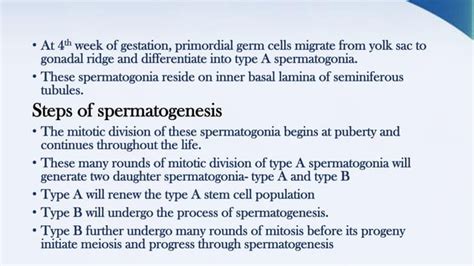 Spermatogenesis Physiology I Spermatogenesis Vs Oogenesis I