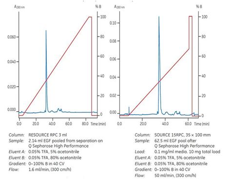 Rpc Purification Options And Scale Up With Source™ Media
