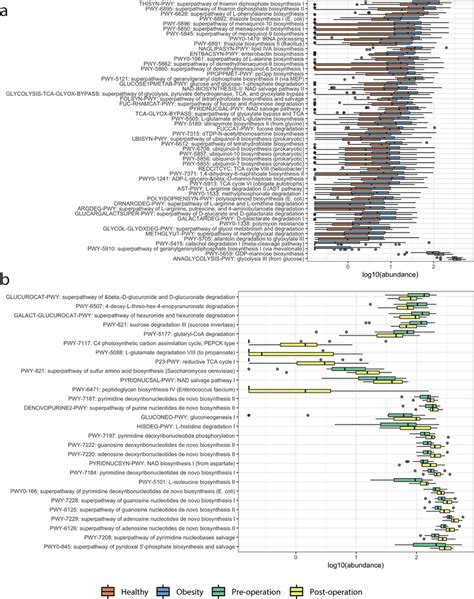 Functional Profiles Of The Gut Microbiota In Different Participant