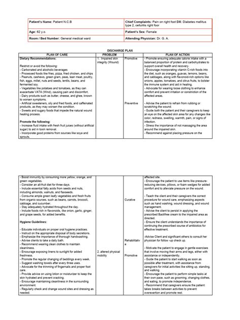 Discharge Plan Pdf Foods Caregiver