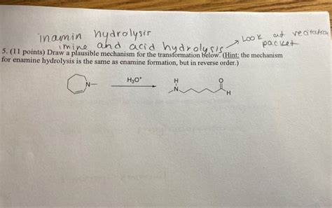 Solved Look Inamin Hydrolysis At Recitation Imine And Acid Chegg Com