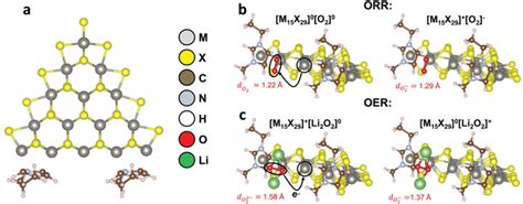 molecular cluster models used for constrained density functional theory
