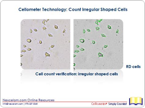 Why Use Image Based Cellometer