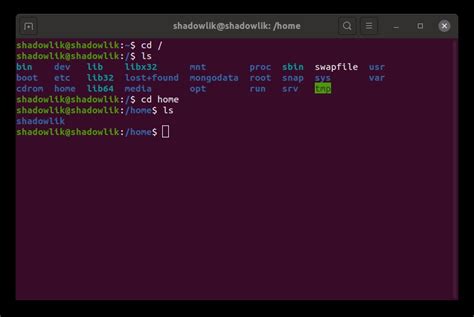 Cómo empezar a utilizar la línea de comandos Terminal en Linux Tutorial para principiantes