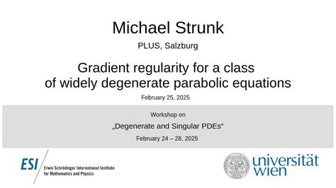 Michael Strunk Gradient Regularity For A Class Of Widely Degenerate Parabolic Equations Youtube