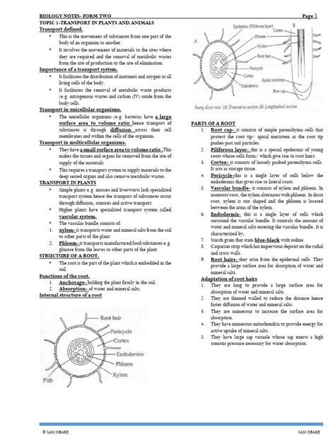 Form 2 Notes 1 Pdf Plant Stem Tissue Biology