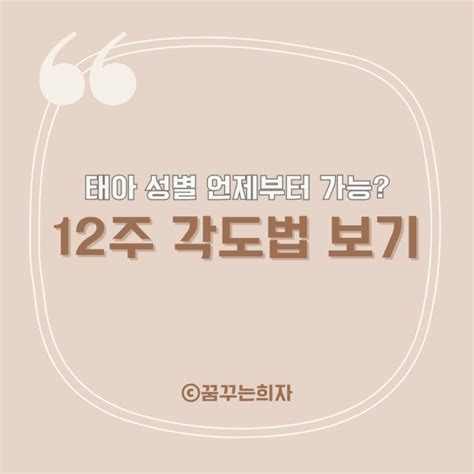 12주 각도법 보는법 태아 성별 확인 언제부터 가능할까 네이버 블로그