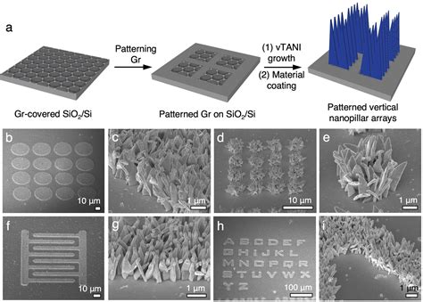 A New And Versatile Template Towards Vertically Oriented Nanopillars And Nanotubes Nanoscale
