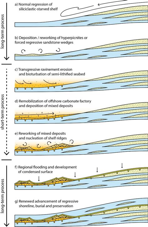 Proposed Evolutionary Model For The Development And Preservation Of Download Scientific Diagram