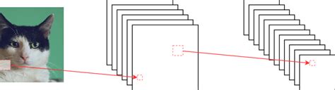 A Convolutional Neural Network Having Convolved Feature Maps And Pooled