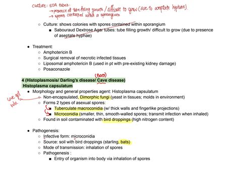 Solution Microopportunistic Fungal Infections Studypool