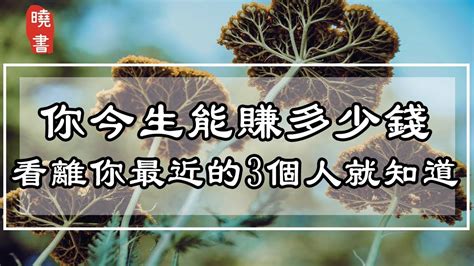 你今生能賺多少錢，看離你最近的3個人就知道【曉書說】 Youtube