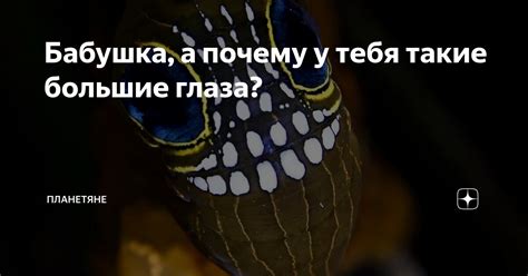 Бабушка а почему у тебя такие большие глаза Планетяне Дзен