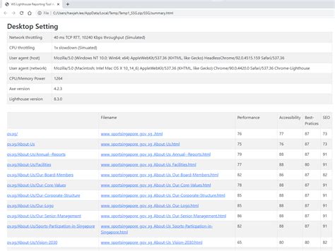 Haw Jeh I Built A Custom Lighthouse Scoring Tool