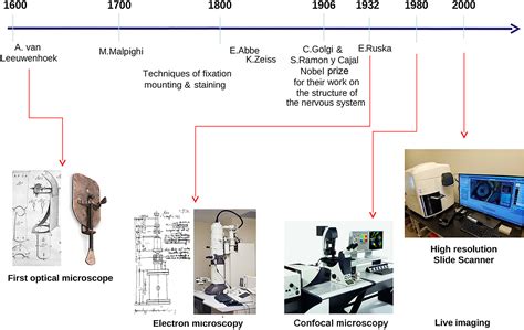First Microscope Timeline