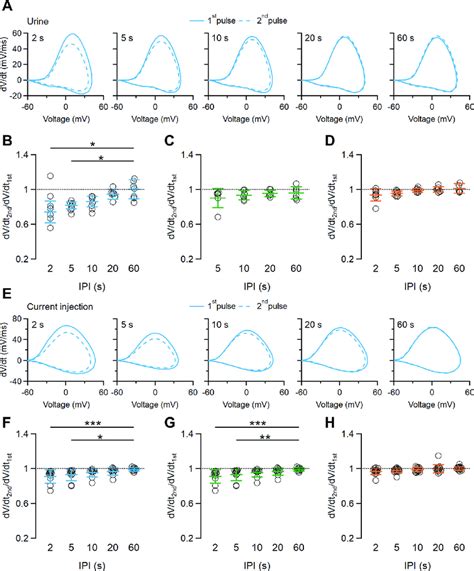 Phase Plane Plot Analysis Of Action Potentials From Repeated