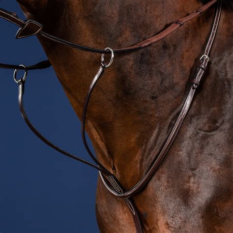 Dy On US Collection Running Martingale Sederholm