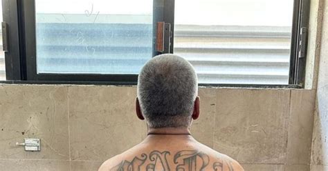 Autoridades Mexicanas Detienen A Líder De Mara Salvatrucha Buscado En