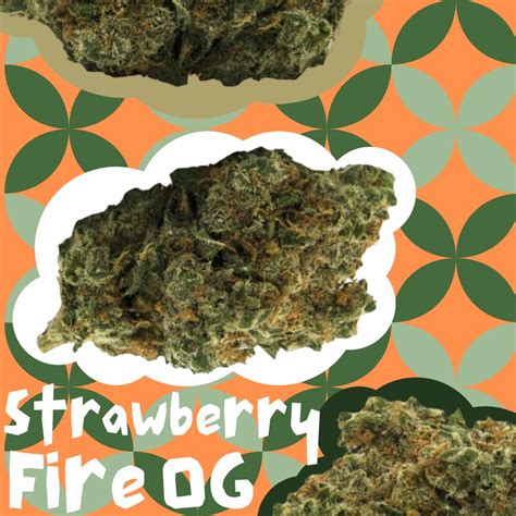 Walter Ivan Canada On Linkedin Cannabisindustry Cannabiscommunity