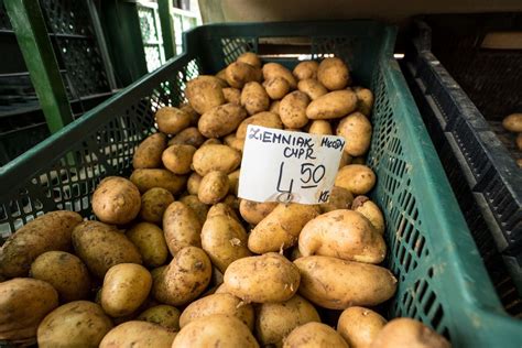 Polski ziemniak już nie króluje w marketach Oto powody Money pl