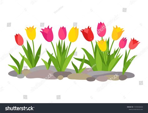 Animated Flowers Growing