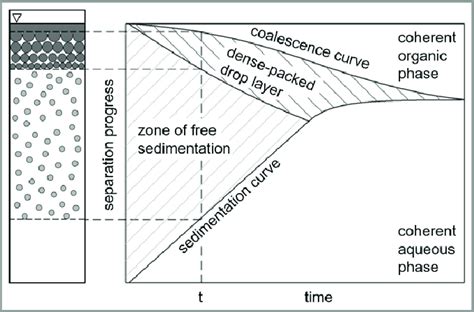 Separation Progress Of A Batch Settling Experiment At Time T Left Hand Download Scientific