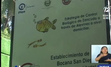 Alarma Por Los Altos Casos De Diarrea En El País Canal 12 De El Salvador