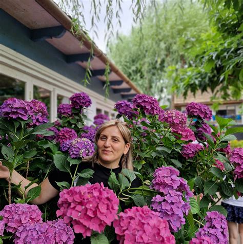 Carrefour Georgia Added A New Photo Carrefour Georgia