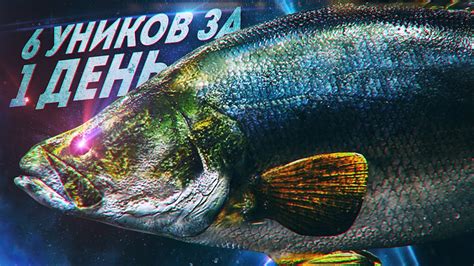 ВЫПОЛНЯЮ ЧЕЛЛЕНДЖ И ПОДНИМАЮ РАНГИ - YouTube