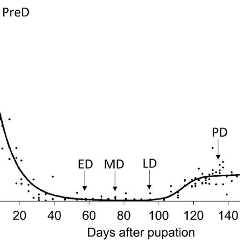 Non Linear Regression Of Respiratory Rate Of Bactrocera Minax Pupae Download Scientific