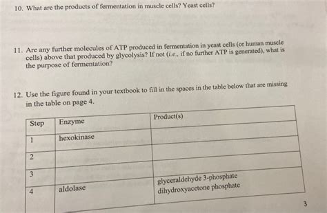 Solved 10 What Are The Products Of Fermentation In Muscle Chegg