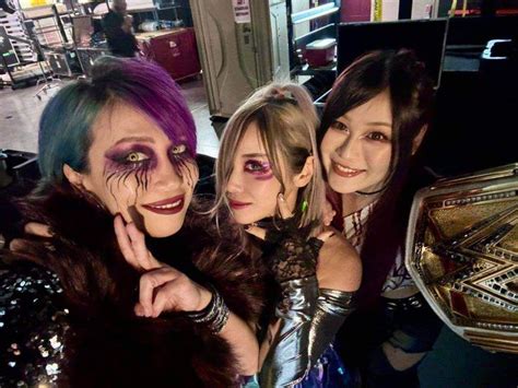 El Harem Yandere De Un Simple Fanatico Tn X Harem Yandere Wwe El
