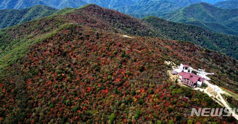 울긋불긋 오색빛깔 단풍이 전하는 가을 소식 뉴시스pic