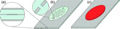 Color Online A Schematic Cross Section Of The Basic Stripline