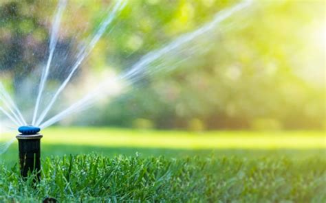 7 Best Lawn Care Tips For Spring In Bradenton