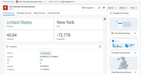 Object Views • 設定 • プラットフォームでのフルobject Views • Palantir