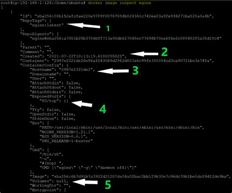 Putting A Magnifying Glass To Docker With Docker Inspect