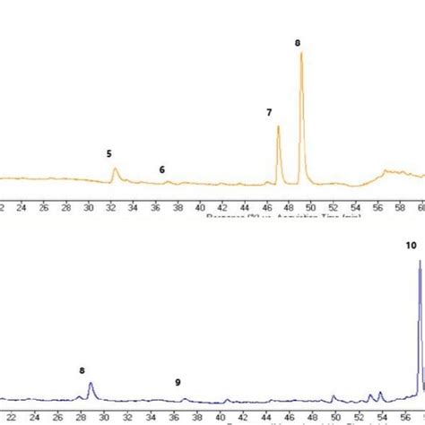 The Lc Ms Tic Chromatograms Of The Phenolic Compounds Of The