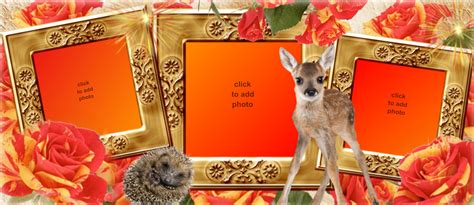 Sinnlichs Profile Cover Frames 2012 October 2012 November Deer
