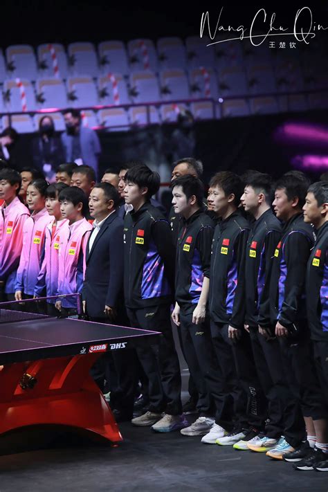 王楚钦 孙颖莎 高清图片，堆糖，美图壁纸兴趣社区