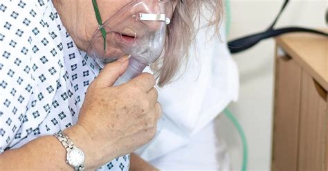 El Moho Doméstico Puede Desencadenar Enfermedades Pulmonares Infobae