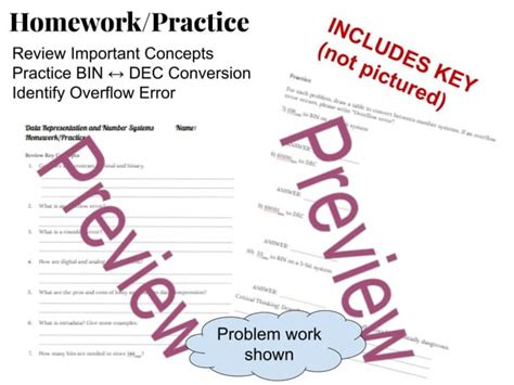 Binary Conversion And Data Representation Lesson Notes Hw No Prep