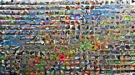 How To Classify Images With Tensorflow A Step By Step Tutorial