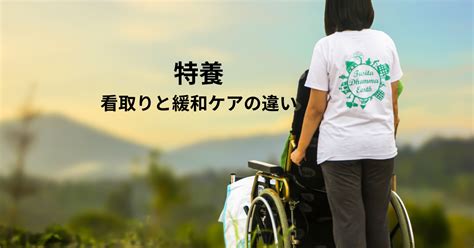 高齢者の食欲低下に胃カメラが必要なのか？ ちえママのミニマル的シニアライフ