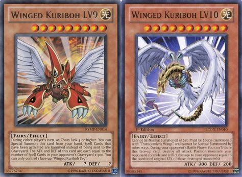 Winged Kuriboh Lv10