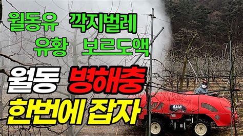 과수 첫 방제 월동기계유유제 석회유황합제 석회보르도액 살포시기 살포방법 주의사항에 대해 알아봅시다 Youtube