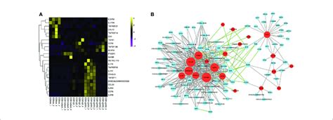 Gene Expression Analysis Enriched In The Cytokine Cytokine Receptor